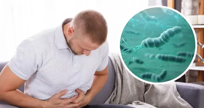 Panduan Lengkap Makanan Gastrik: Pemakanan Untuk Kesihatan Sistem ...